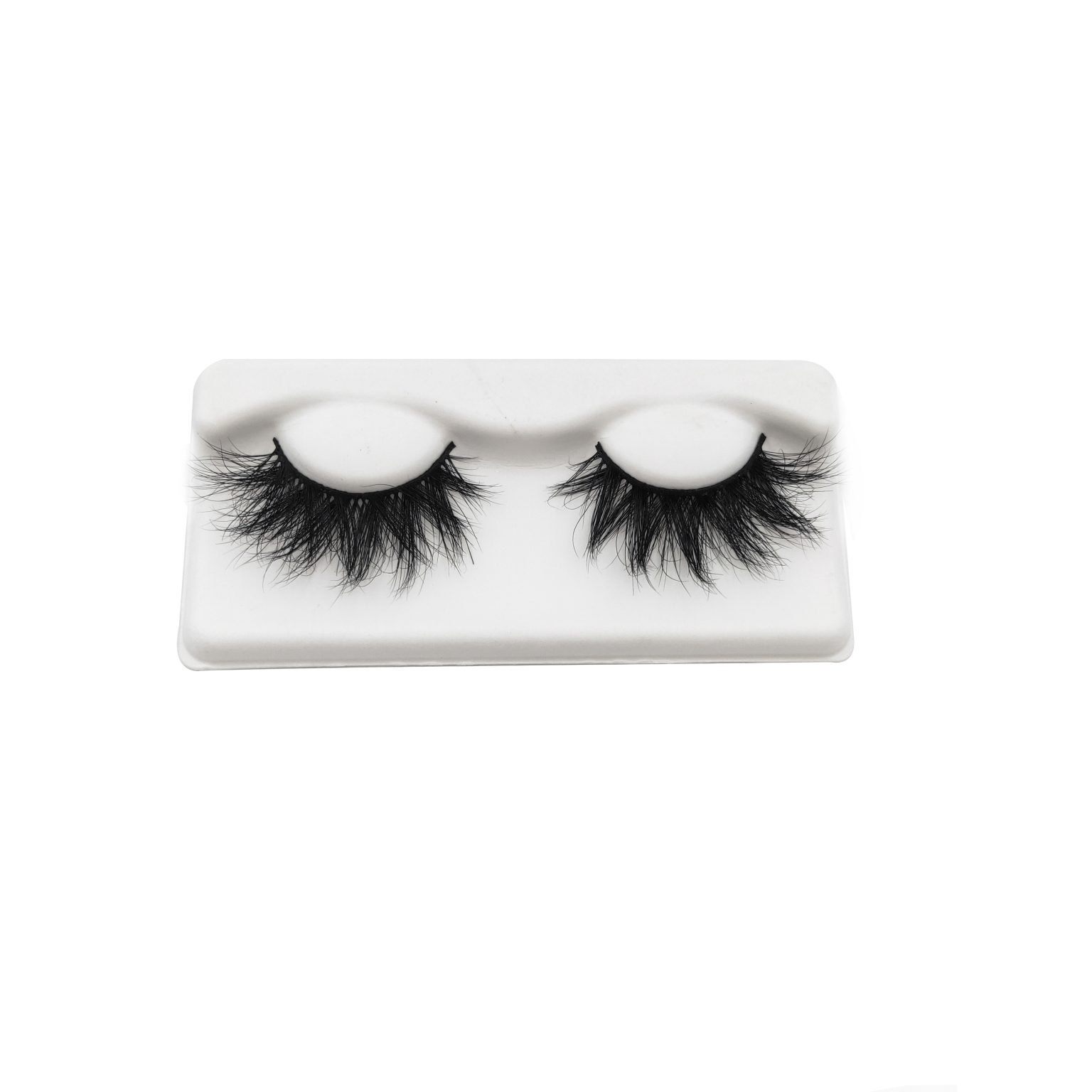 Where to buy Biodegradable Lashes Tray?